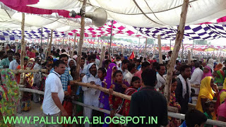 History of Pallu Devi – Pallu Wali