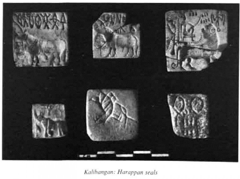 kalibangan 23.jpg.bmp.jpg.png – Pallu Wali