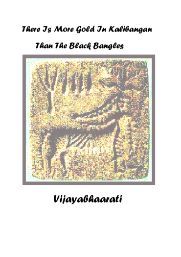 kalibangan 29.jpg.bmp.jpg.png.jpg – Pallu Wali