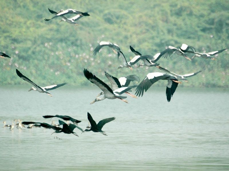 Ballia-Brahmani Mata – Pallu Wali